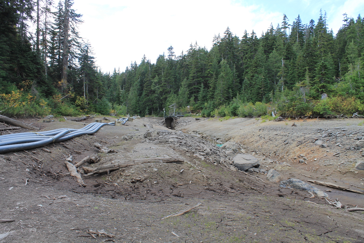 Chapman and Edwards Lakes, Oct. 10, 2022 - Everything Elphinstone